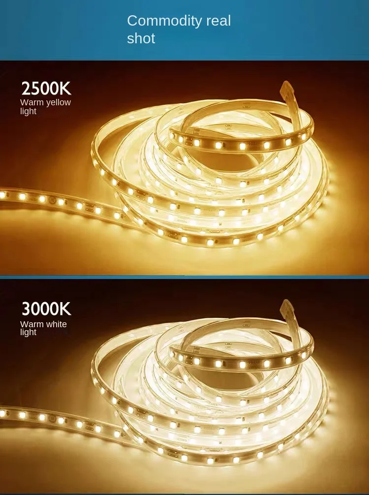 Philips BGC201 LED Outdoor IP65 Waterproof Light Strips