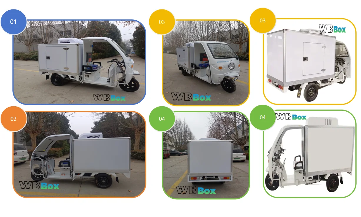 Three-Wheel Electric Cargo Box Tricycle 60v Powered Reefer Cooling ...