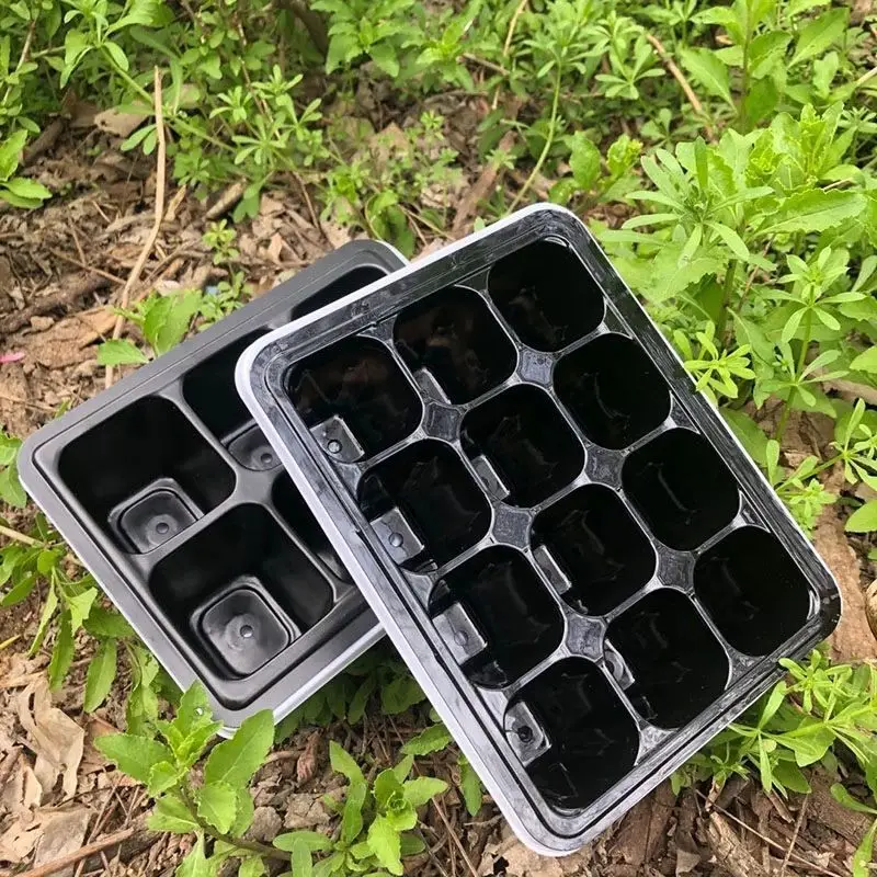 Garden Greenhouse Polystyrene Seed Trays Plastic 24 Cells Rice Nursery ...