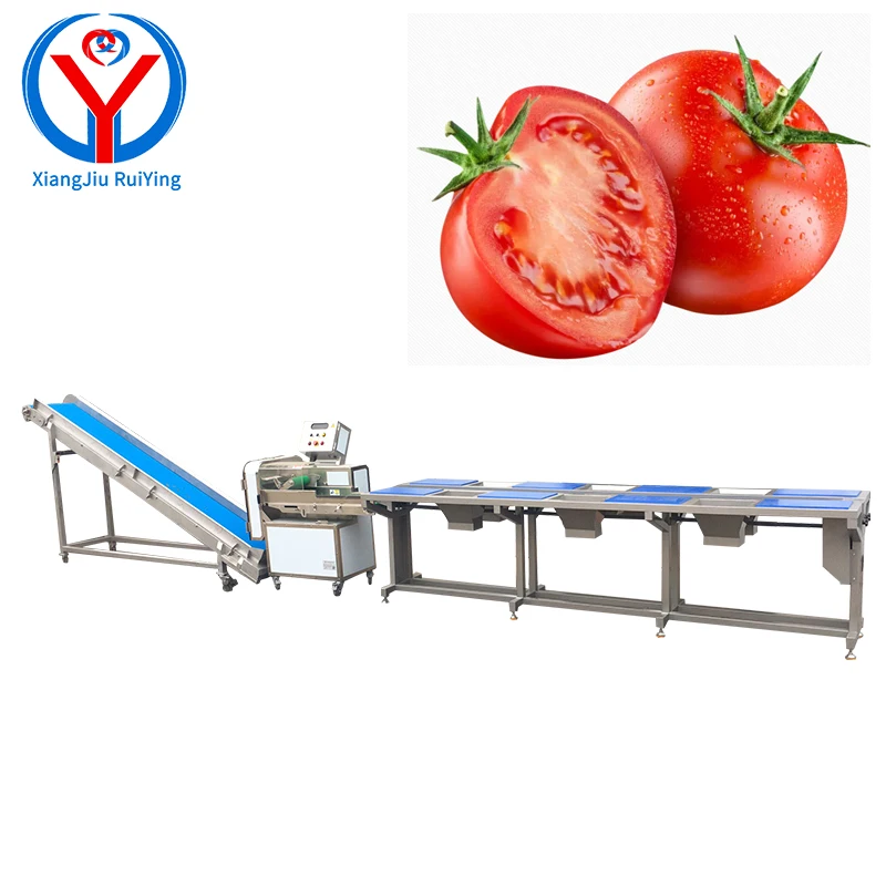 Automatic Vegetable Processing Line - Efficient & Durable