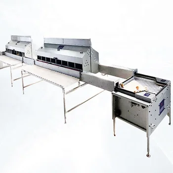 Automatic Laying Hen Nest For Chicken Hot Galvanized Laying Egg Nest ...
