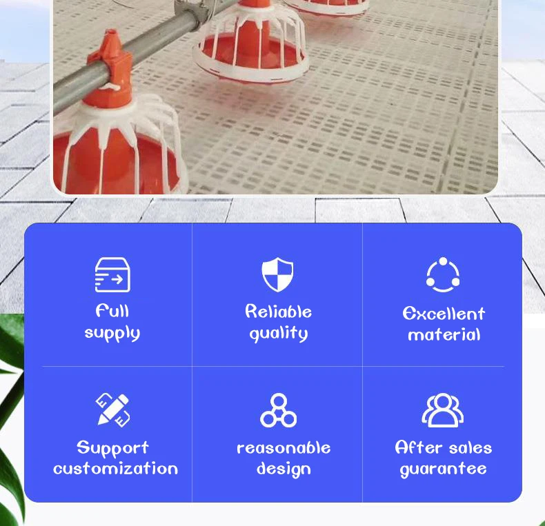 Broiler Farming Equipment Automatic Poultry Feeding Line System for ...