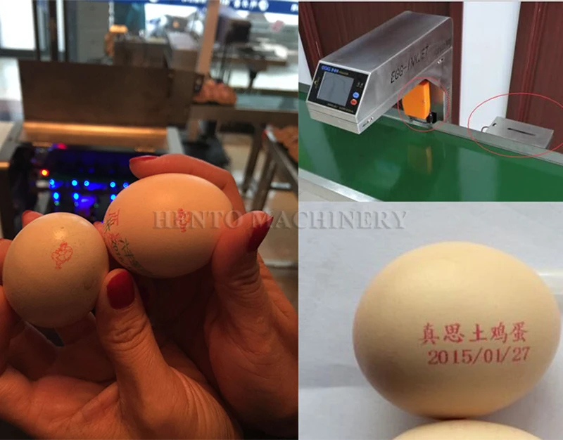 Egg Code Printing Machine - Efficient & Reliable Solutions