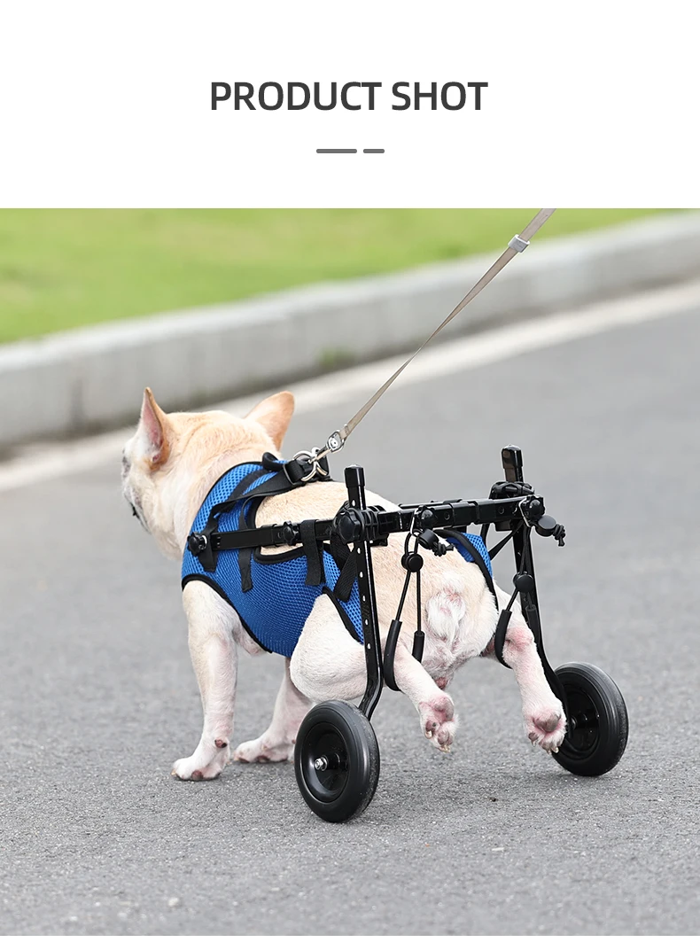 Doglemi Adjustable Pet Dog Wheelchair - Mobility & Training