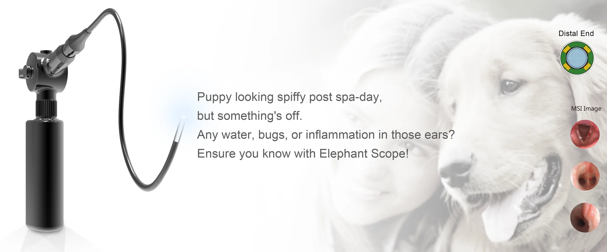 Professionals Flexible Endoscope High Battery Storage Real-time Viewing ...