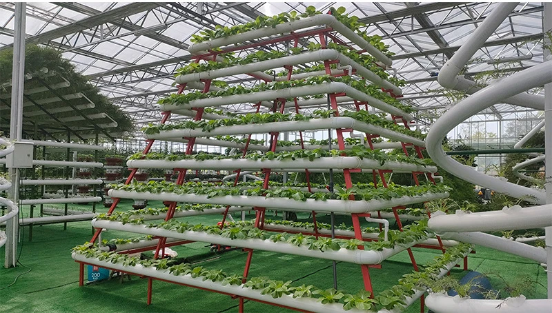 Aeroponics Hydroponic System - Efficient Plant Growth