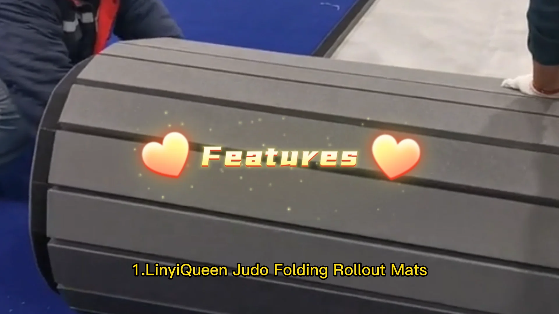 Linyiqueen Customized 6 Feet Unisex Judo Wrestling Mat Waterproof ...