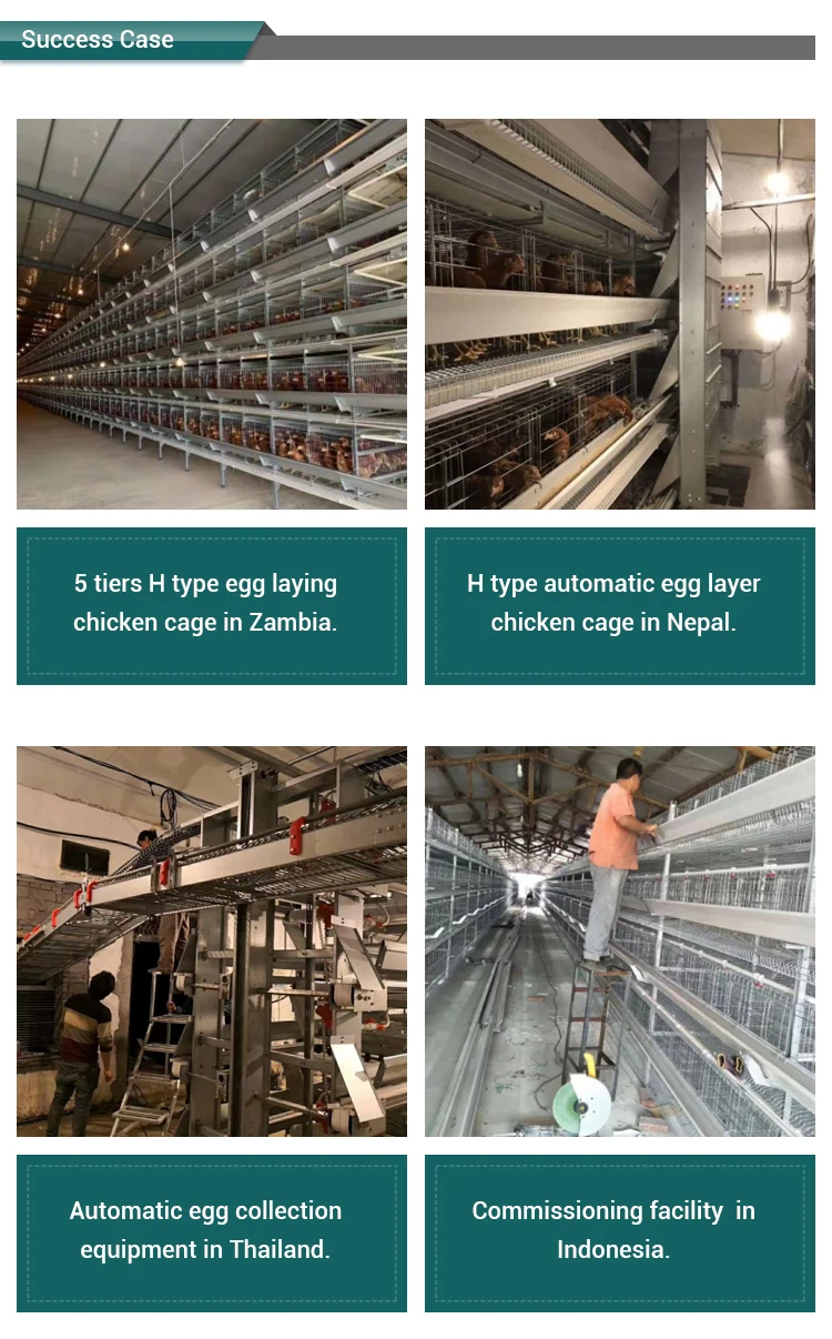 Philippines Galvanized Layer Chicken Cages Design Layer Chicken Cages ...
