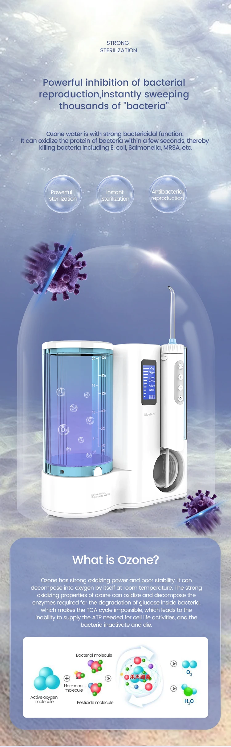 Ozone Family Use Countertop Water Flossers - Beneficial for Health