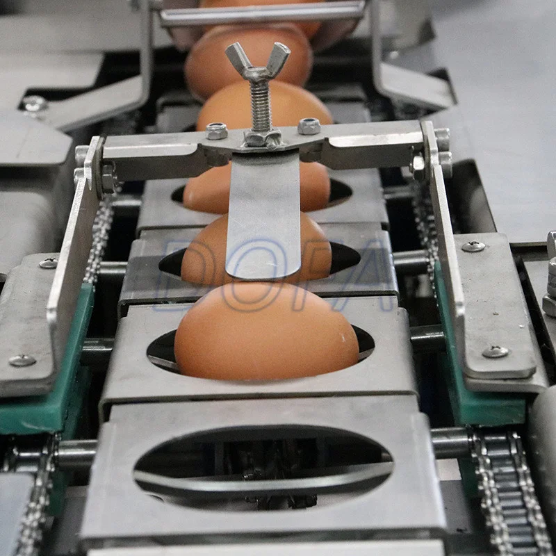 Egg Cracking Breaking Cracker Machine Egg Breaking Yolk Separating ...