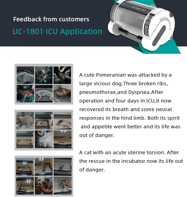 Puppy ICU Incubator - Smart and Reliable Animal Healthcare