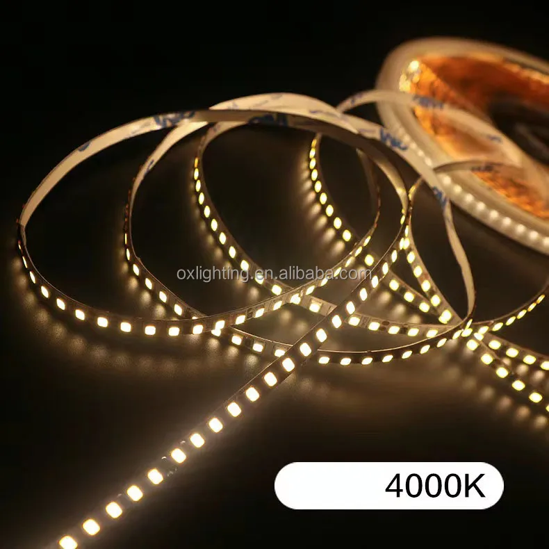 5mm 4mm 8mm 10mm 2835 Led Strip Light Smd 2835 Led Strip Light 120 240 Leds 60d Flexible Tape ...