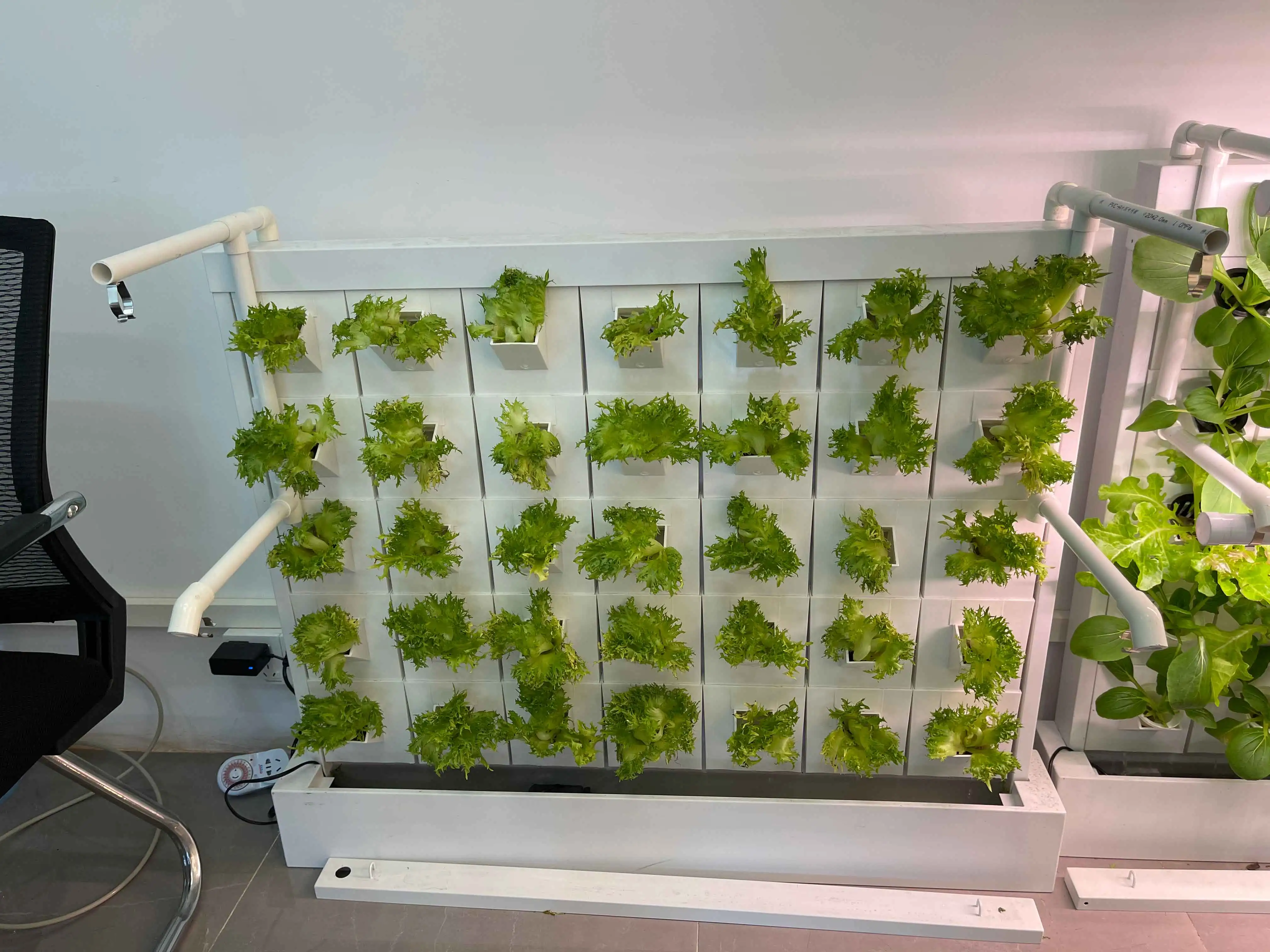 Skyplant Wall Type Hydroponic System - Easy Vertical Growing