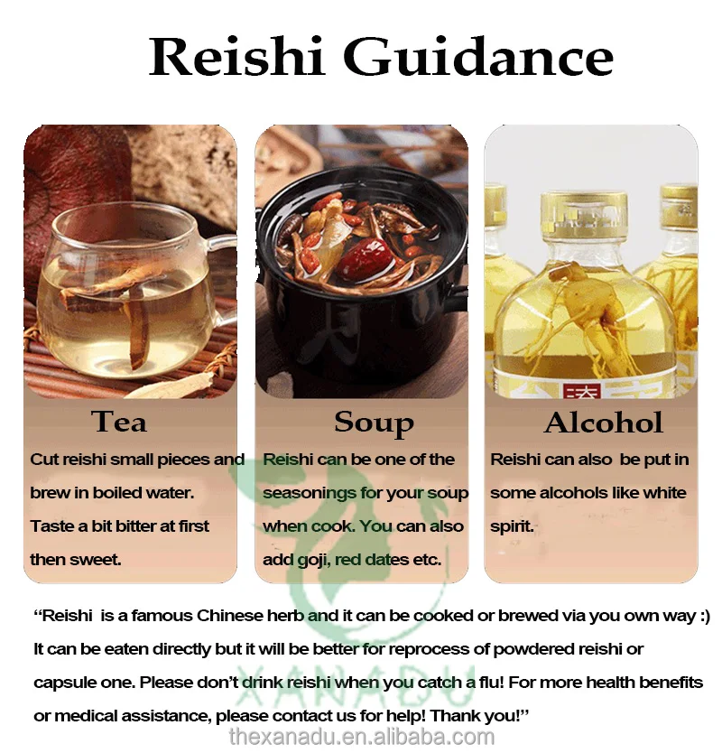 Xanadu Turkey Tail Mushroom Dried Flavor Herb Tea For Tincture Extract ...