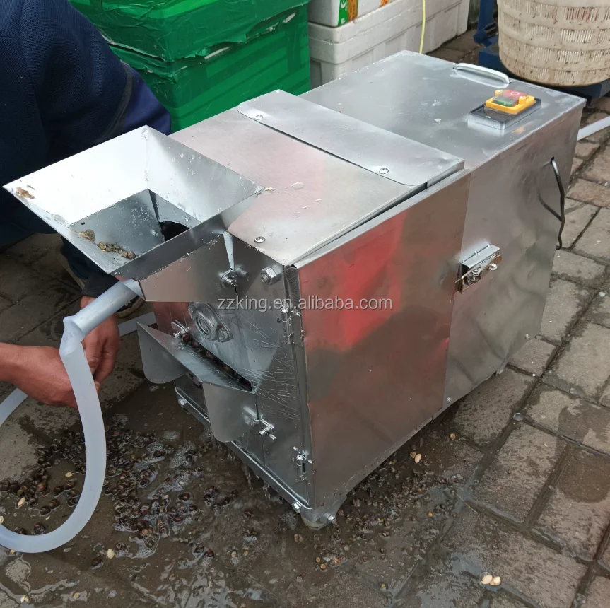 Automatic Snail Tail Cutting Machine - Efficient & Precise