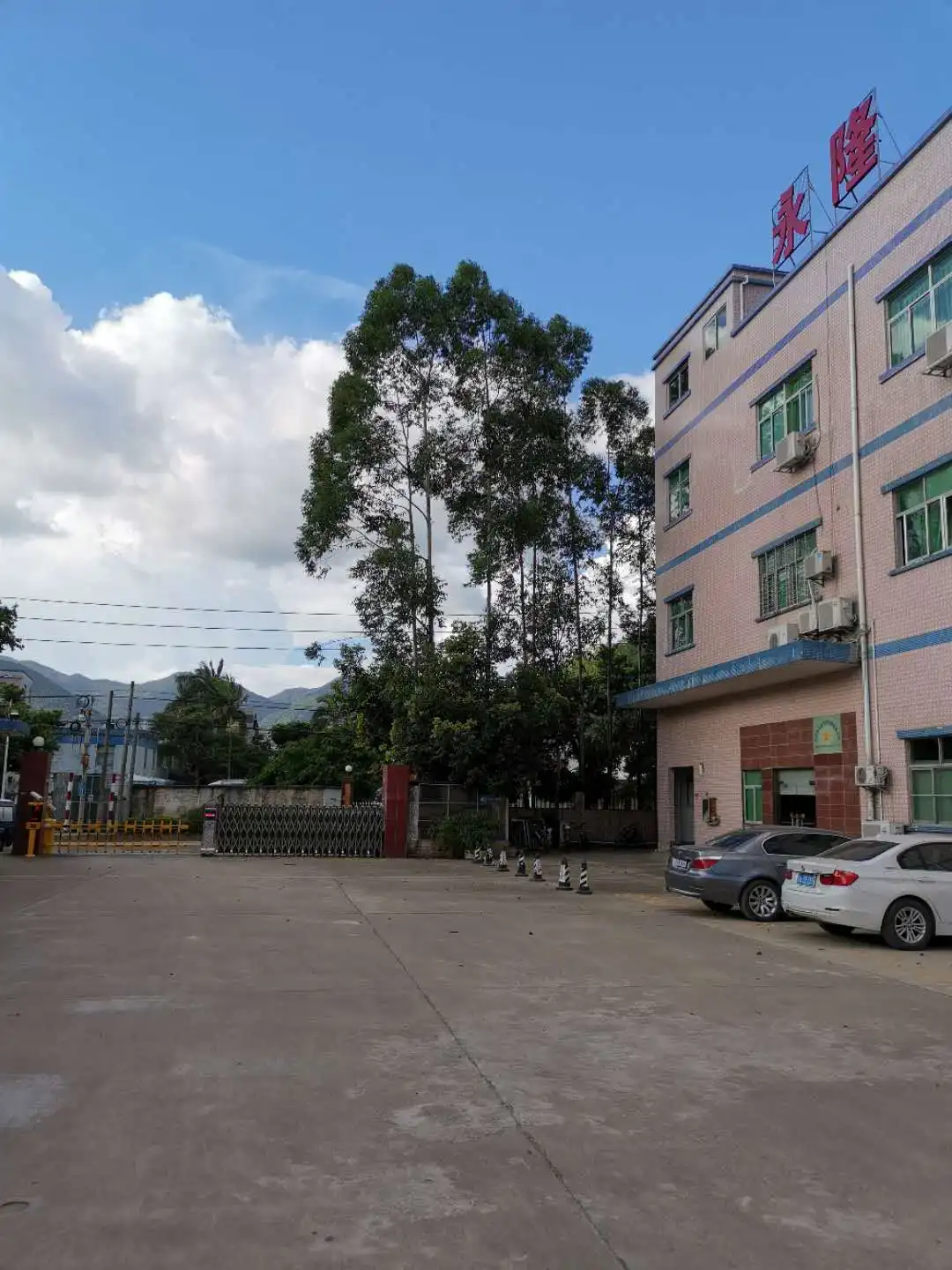 Food Grade Factory Supply PLU 4023/4022/4056/4636 Grapes Fruits ...