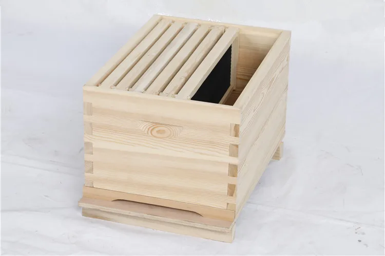 8 Frames Pine Wood Langstroth Beehive for Beginner Honey Bee Hives with ...