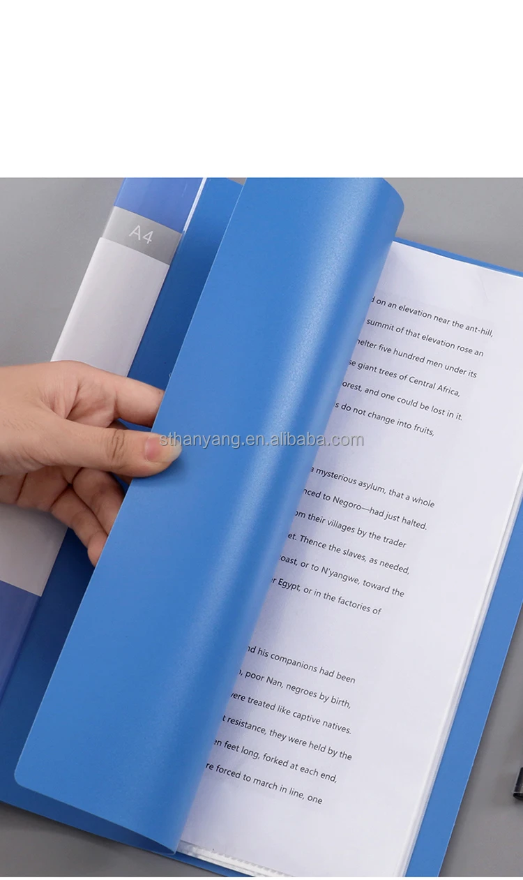 Transparent A4 Display Clearbook - Durable & Versatile