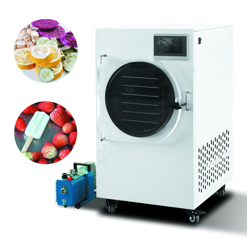 Mini Freeze Dryer /Freeze Dryer and Dehydrator/Freeze Dryer for Home ...