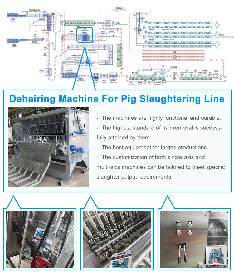Automatically Operation Complete Abattoir Project Pork Slaughtering ...