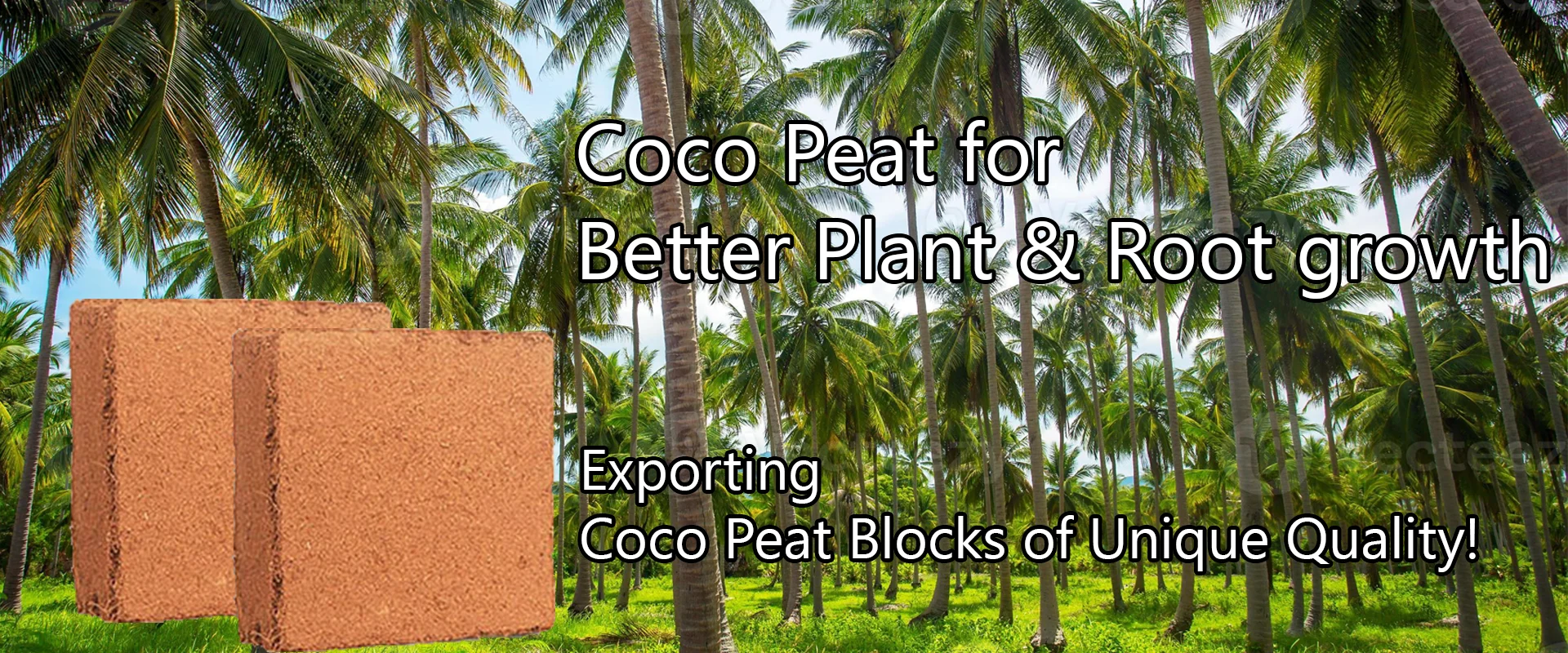 Coco Husk Chips High Quality Coco Husk Chips Blocks From Leading ...