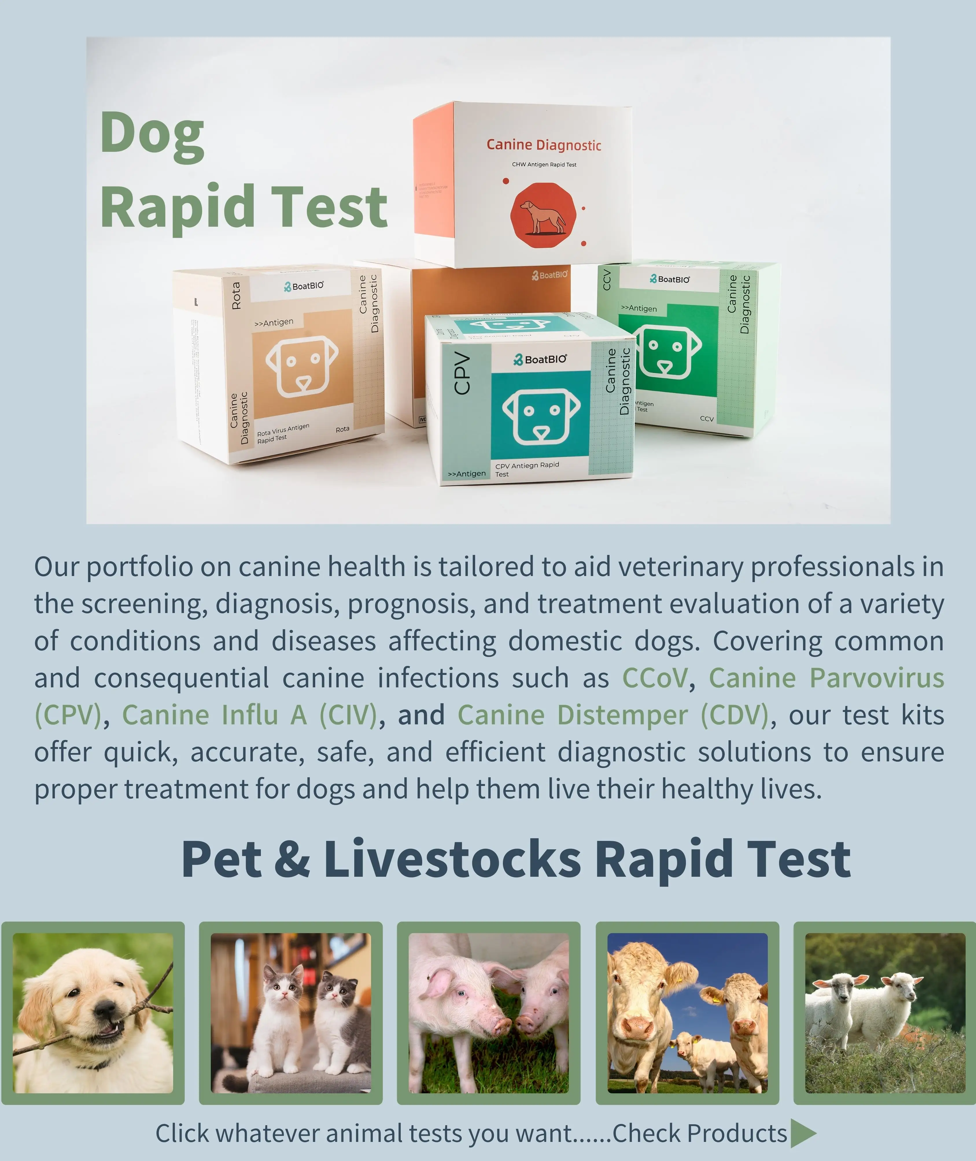 Animal Combo Rapid Test Kit Affordable Vet Test High Quality Both ...