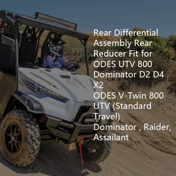 LIANGZI ODES 1000 ATV UTV 21050100201 21040103901 21040100101用シリンダ ...