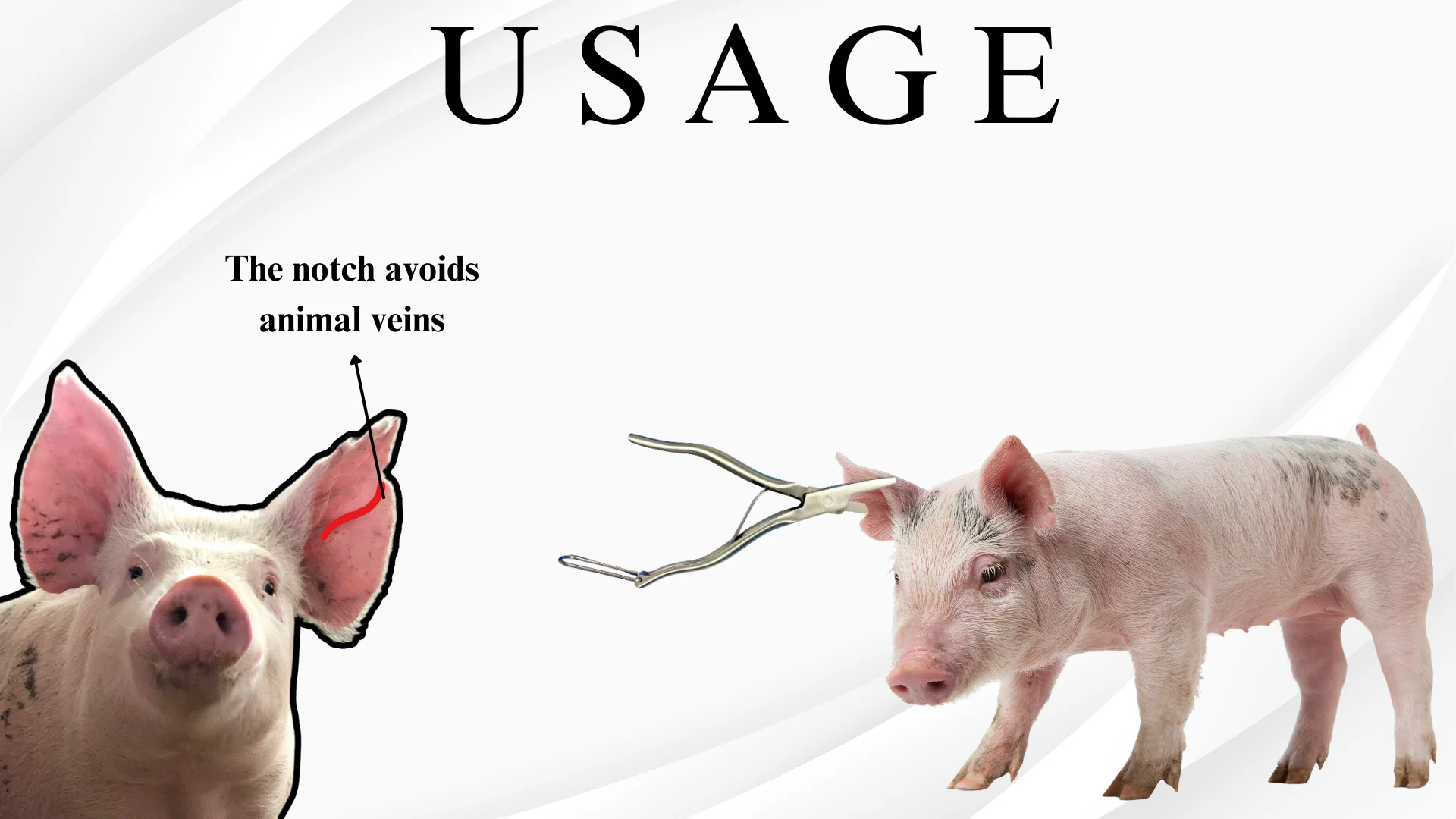 Piglet Ear V Shape Small Cut Notches Plier - Efficient & Durable