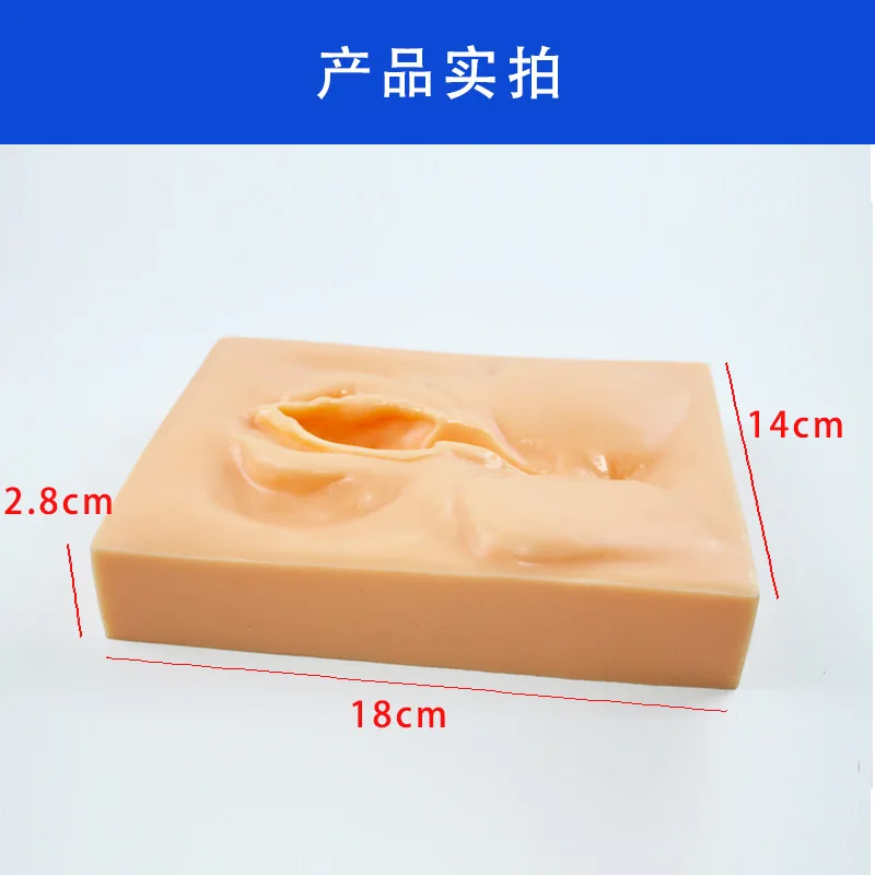 KyrenMed Episiotomy Suture Simulator Trainer Kit Female Vulva Suture ...