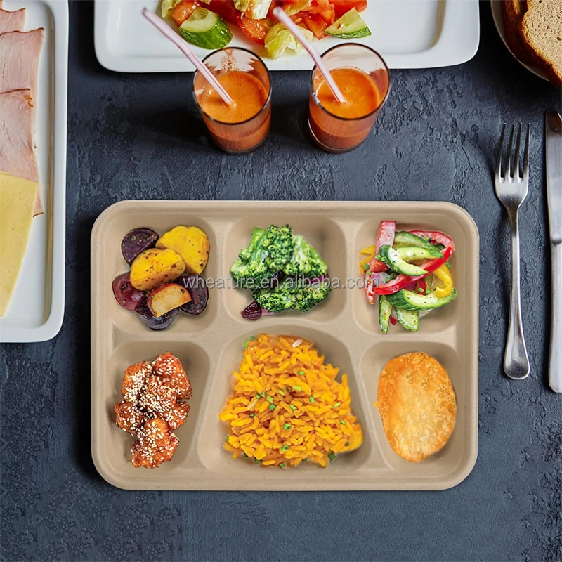 5 Compartment Microwavable Takeaway Meal Sugarcane Packaging Bagasse ...