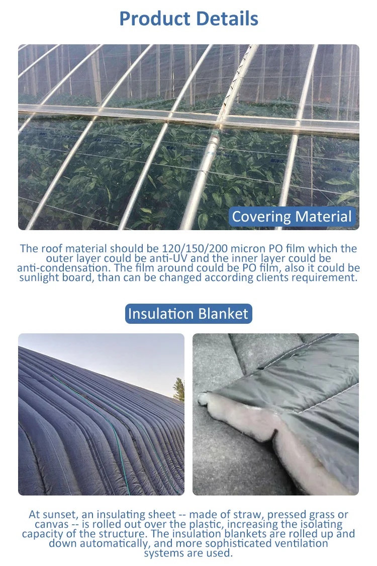 Agriculture Commercial Thermal Insulation Passive Solar Greenhouses ...