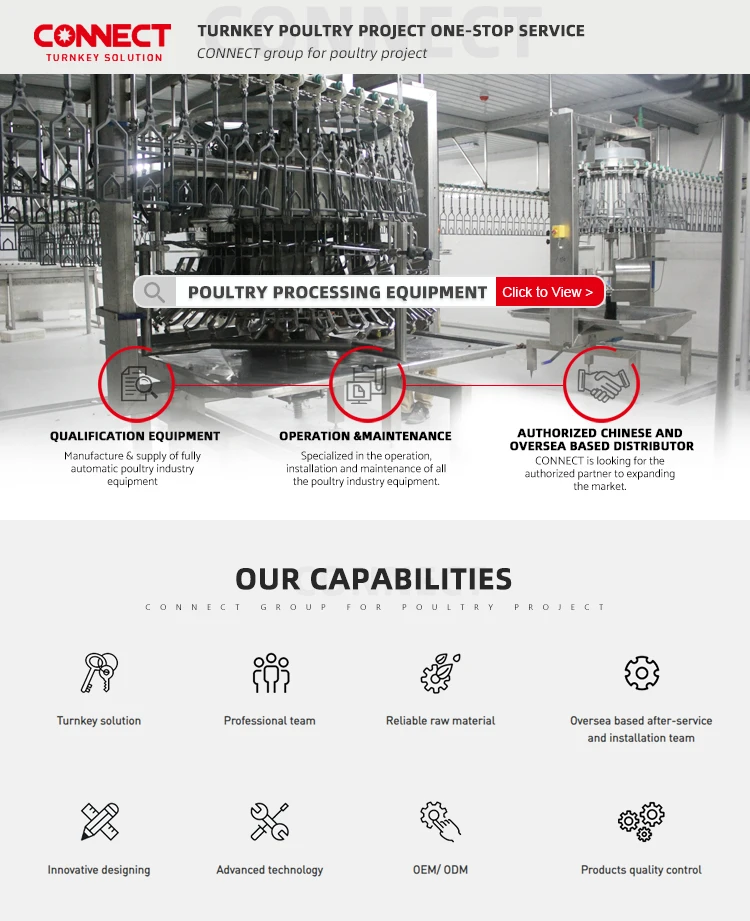 Automatic Slaughterhouse Plant - Efficient Poultry Processing