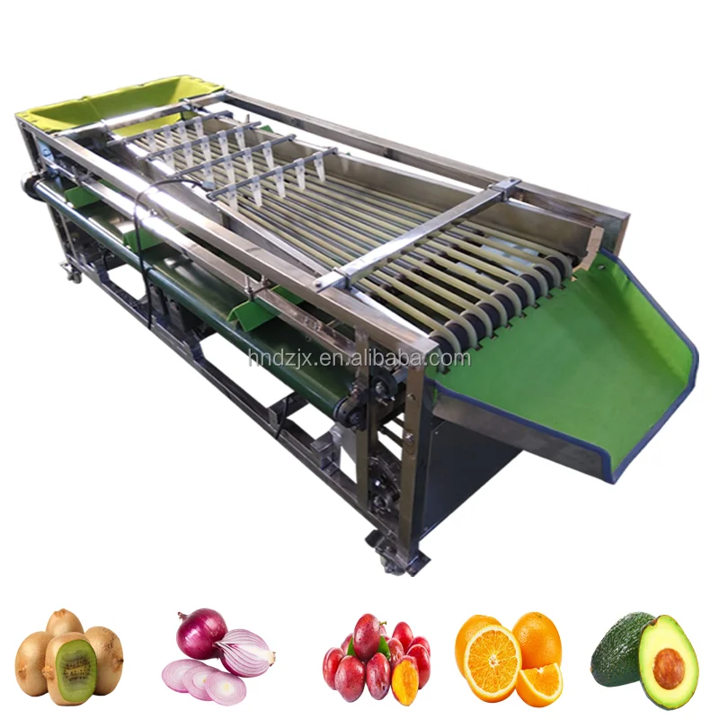 DZJX Track Type Fruit Cherry Tomato Sorter Avocado Potato Sorting ...
