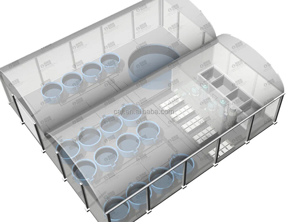 CATAQUA Cheap Tilapia Indoor Fish Farm Bio Filter RAS System
