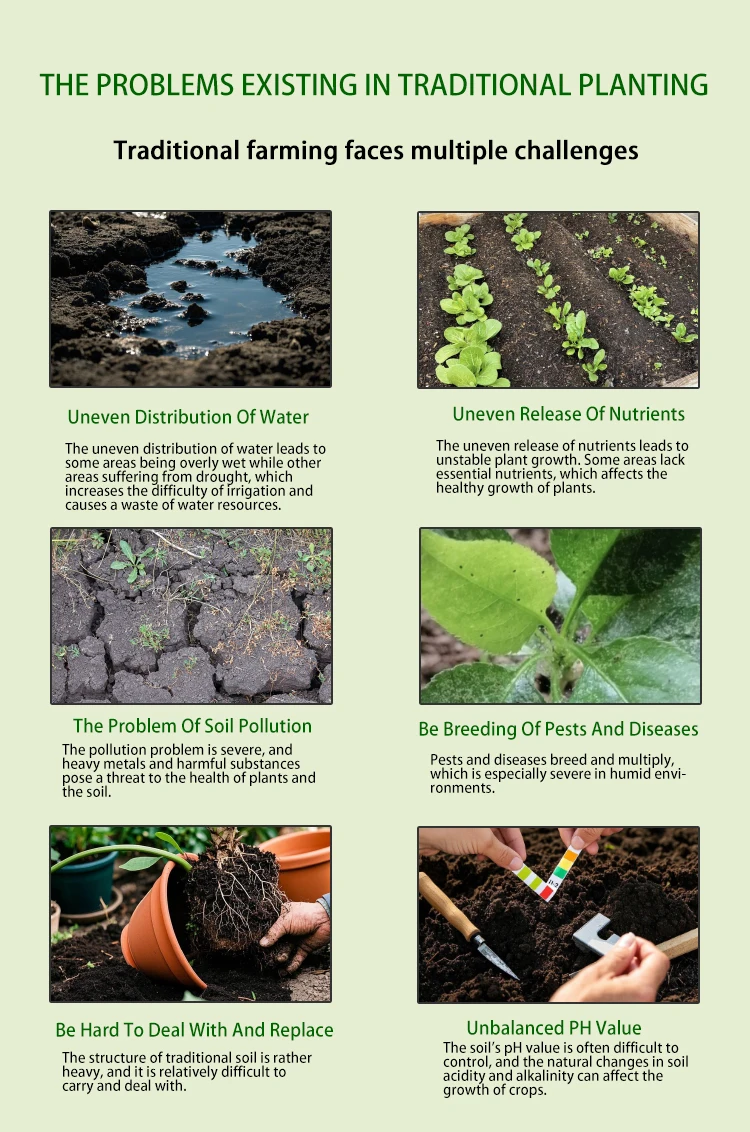 Pi Soil Premium Coconut Coir Hydroponic Planting Blocks Soilless Mix ...