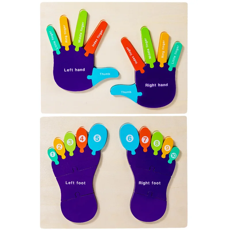 Preschool Kids Learning Body Structure Letter Number Blocks Toys Wooden ...