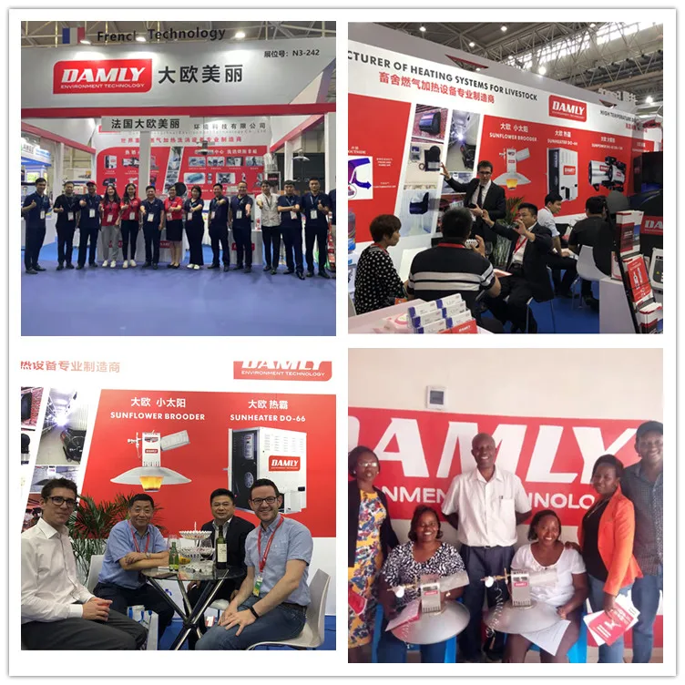 Damly Sunflower Gas Saving Poultry Farm Chicken House Infrared Gas ...