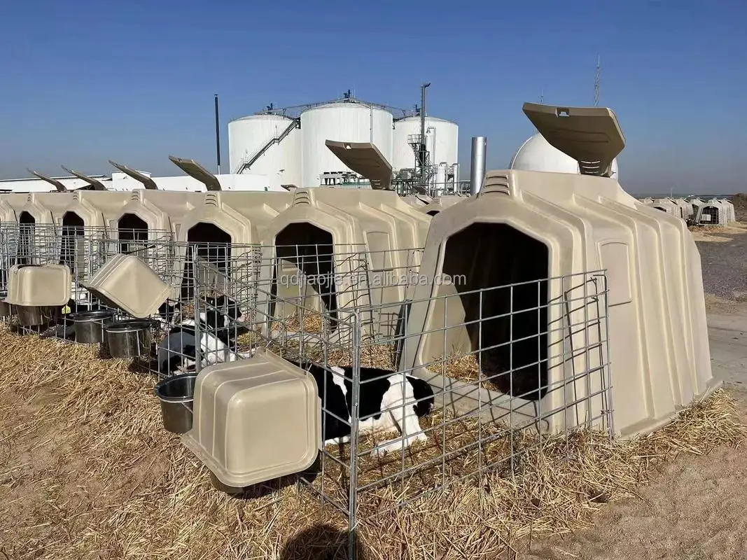 Livestock Reinforced Calf Cages - Durable & Customizable