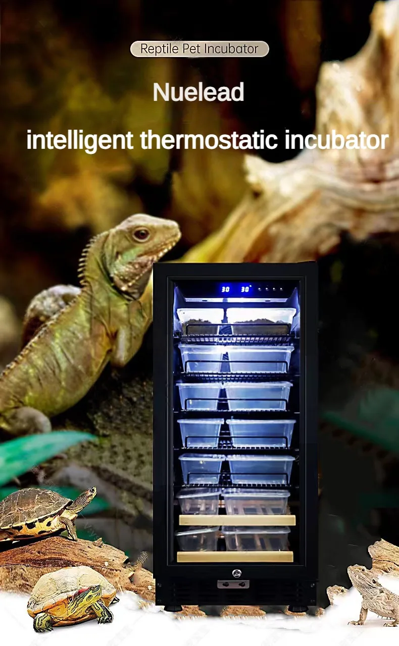 240l Temperature Adjustable Hatching Digital Poultry Quail Ostrich ...