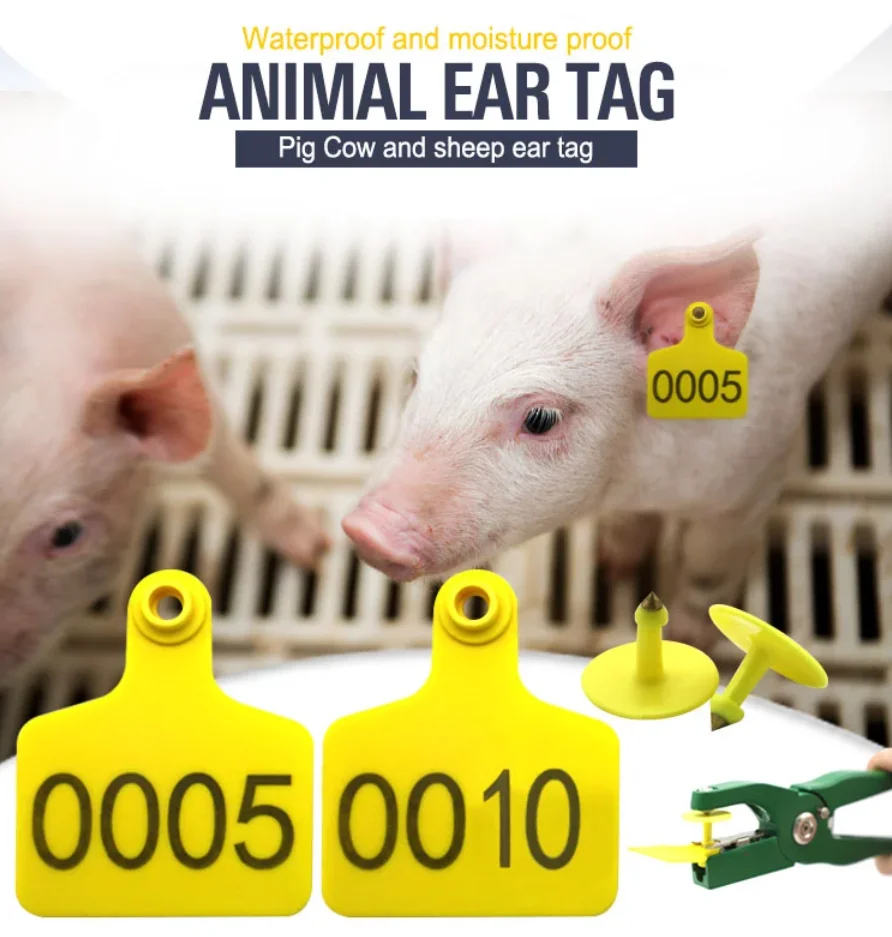 Customized UHF Rfid Nfc Cattle Ear Pig Ear Sheep Ear Tag for Cattle ...