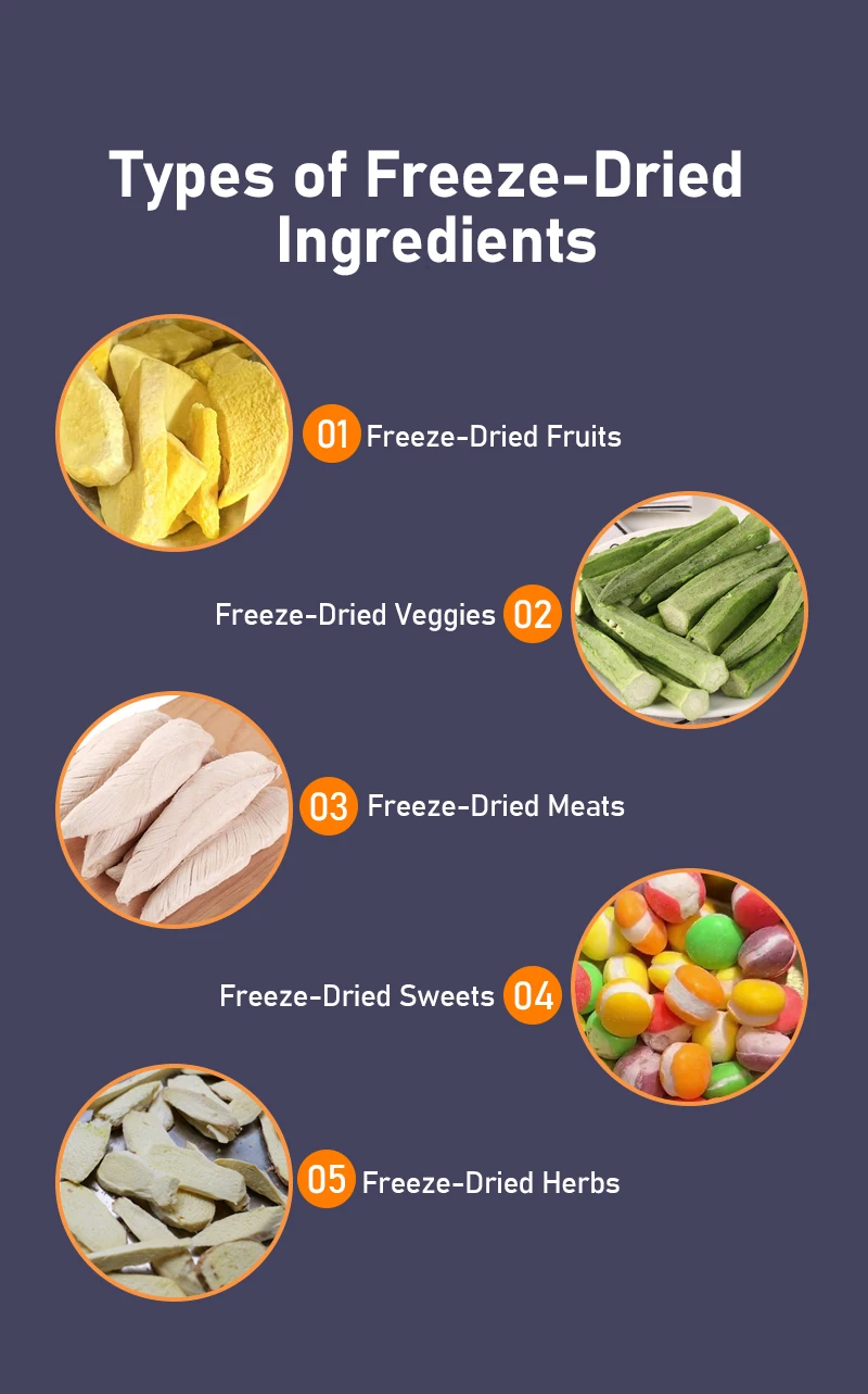 4kg Freeze Drying Small Mini Home Lyophilizer Vacuum Freeze Dryer ...