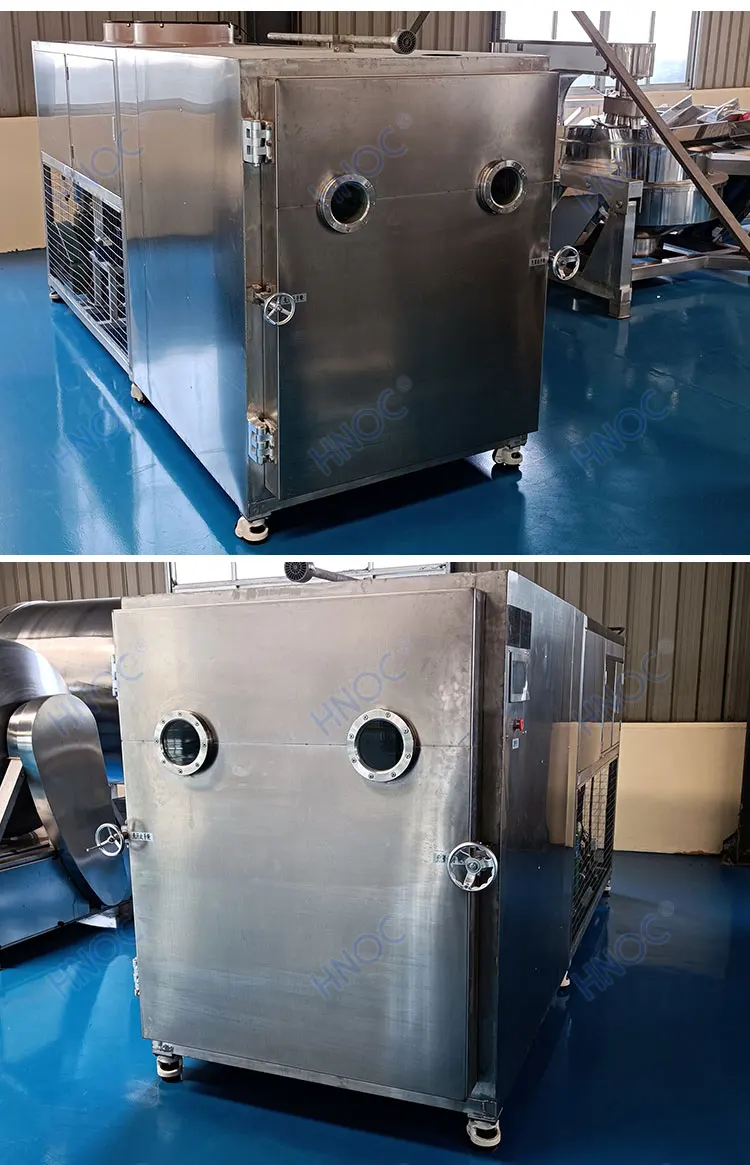 Industrial Lyophilization Machine - Efficient Freeze Drying
