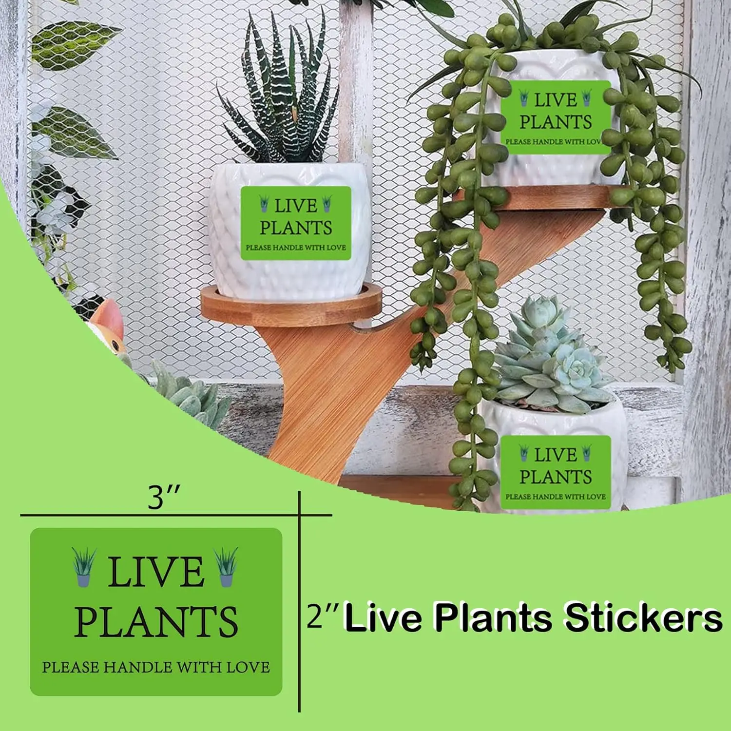 Green Live Plants Stickers - Shipping Labels for Garden Centers