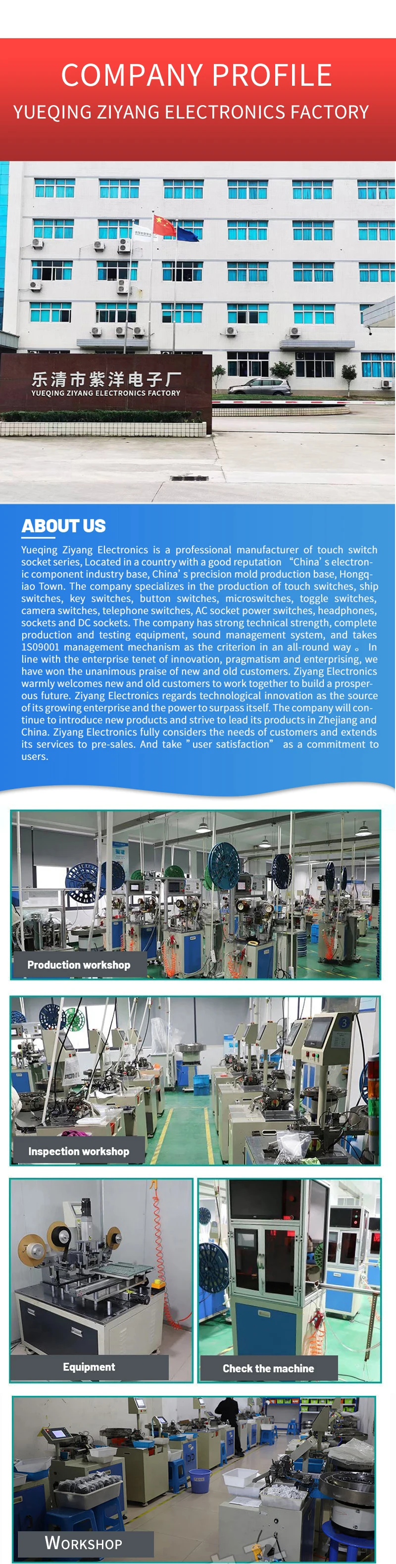 2x4 3x3 3x6 4x4 4.5x4.5 5.2x5.2 6x6 12x12 Mini Tactile / Tact Switch 2* ...