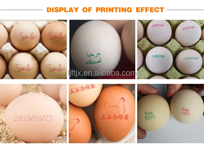 6 Lines Egg Inkjet Printer Automatic Egg Printer for Sale| Alibaba.com