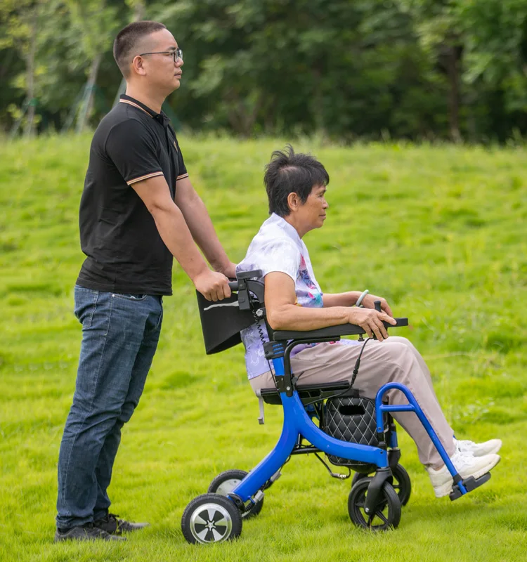 Multifunctional Mobility Electric Walker Rollator For The Elderly - Buy ...