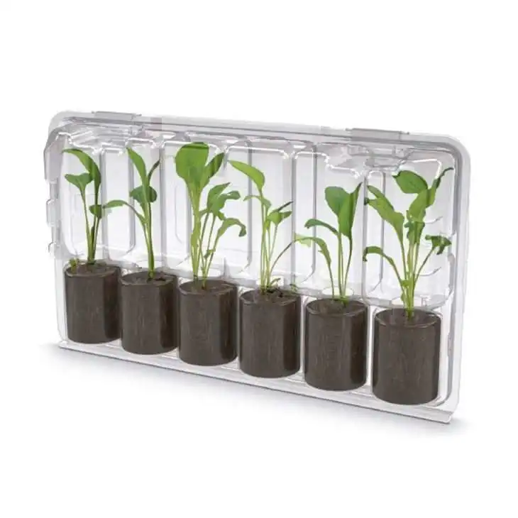 Garden Plant Nursery Carry Tray Grow Box With Pots Vegetable Tray ...