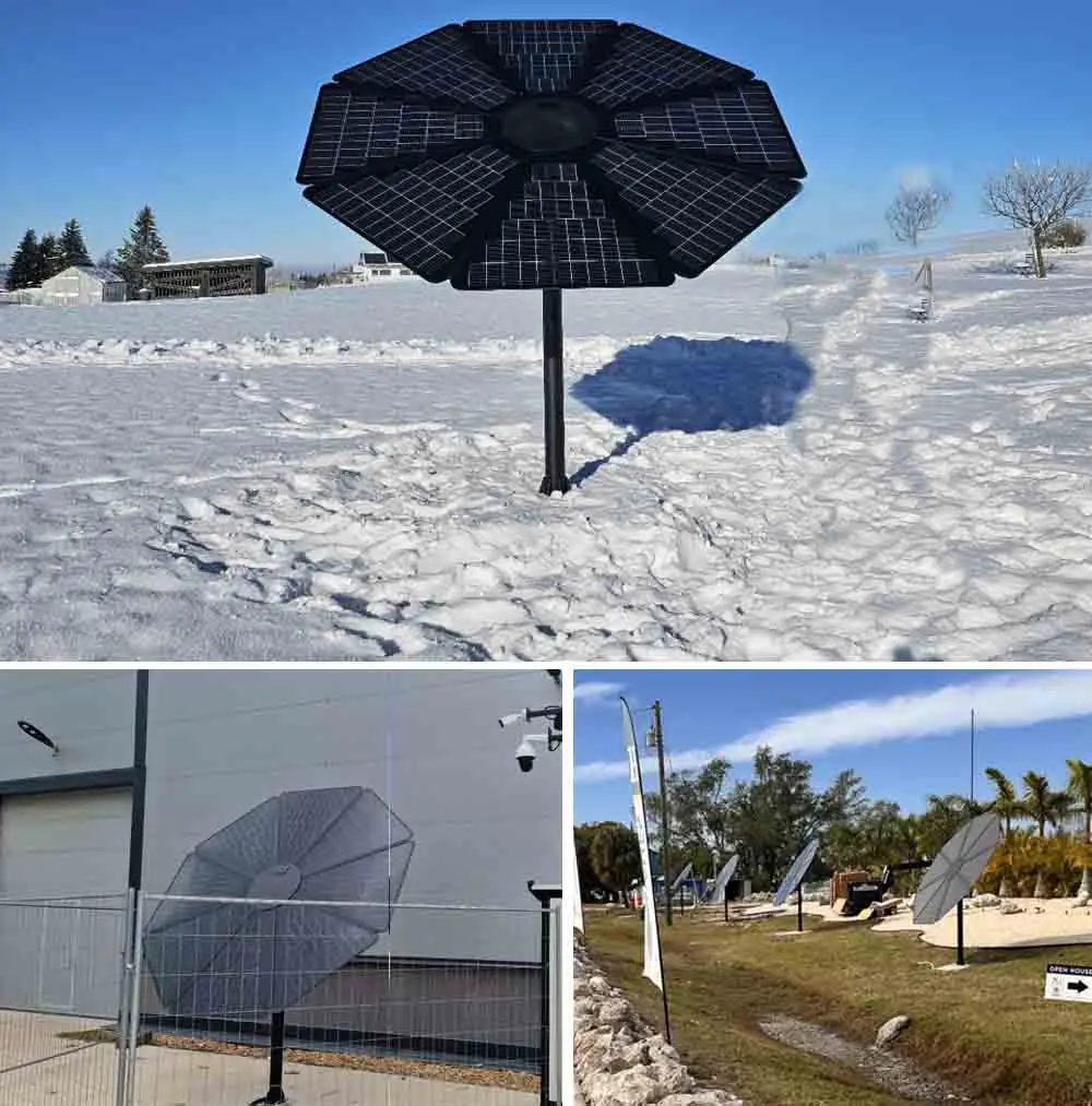 Cheap Price 1kw Bifacial Panel System Sunflower Design Solar Kit Solar ...