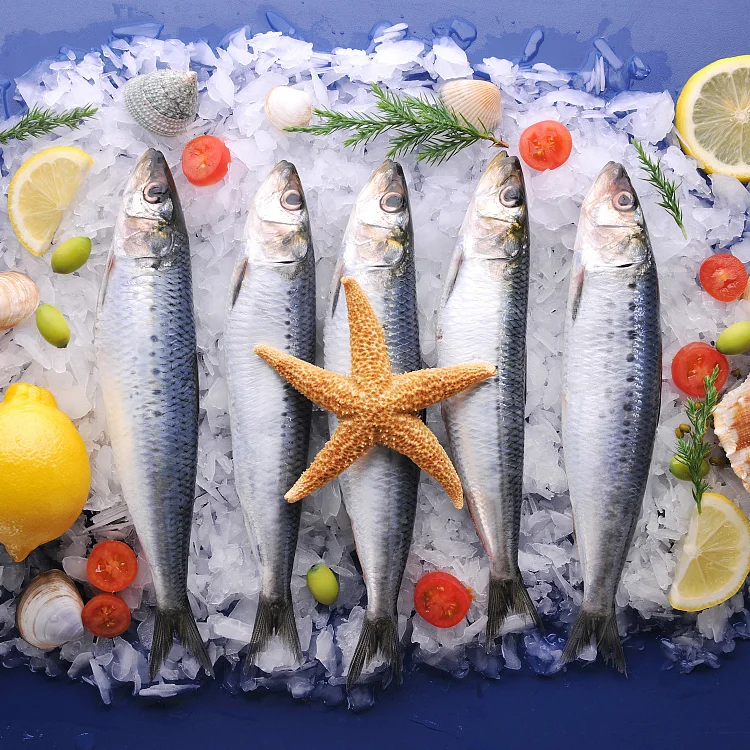 High Protein 20kg Custom Dog Food Beef Formula For Medium And Large ...