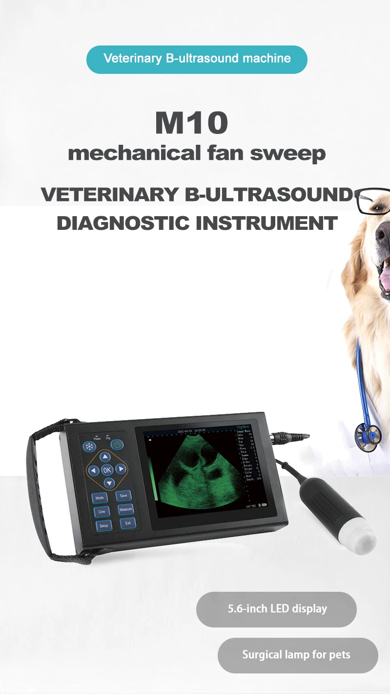 Portable Full Digital Veterinary Medical Ultrasound Instrument for ...